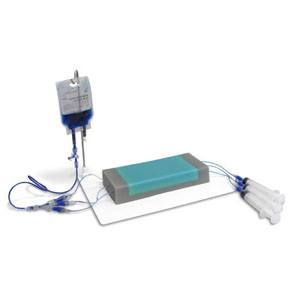 Ultrasound-Guided Injection and Vascular Procedure Phantoms